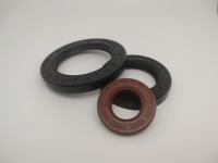 China Customizable High Quality NBR FKM Tc Oil Seals with Advanced Dual Sealing Mechanism for Enhanced Leakage Protection for sale