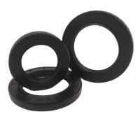China Tc Seal Weather Resistance and Durability Best Price Shaft Seal Rubber Oil Seal for sale