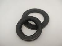 China Customizable Tc Seal Precision Engineered Radial Lip Seals for Efficient Fluid Containment and Sealing Solutions for sale