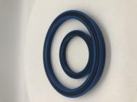 China I Customized Oil Seals Tailored to Specific Requirements for Optimum Performance and Sealing Efficiency IUH Seal for sale