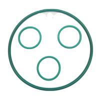 China Chemical-Resistant Kalrez  O-rings for Extreme Environments O Seal Ring for sale