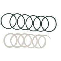 China Chemical-Resistant PTFE O-rings for Harsh Chemical Applications for sale