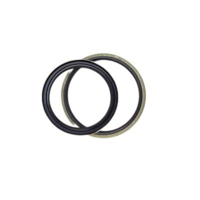China Wholesale DKB 40/45/50/55/60/65/70/75/80/85/90/95/100/105/110/115/120/130 Hydraulic Dust Oil Seal for sale