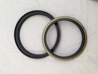 China Wholesale DKB 40/45/50/55/60/65/70/75/80/85/90/95/100/105/110/115/120/130 Hydraulic Dust Oil Seal for sale
