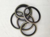 China Wholesale DKB 40/45/50/55/60/65/70/75/80/85/90/95/100/105/110/115/120/130 Hydraulic Dust Oil Seal for sale