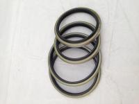 China Wholesale DKB 40/45/50/55/60/65/70/75/80/85/90/95/100/105/110/115/120/130 Hydraulic Dust Oil Seal for sale