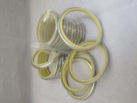 China 2023 hot sale NBR with metal high quality DKB/DKBI dustproof oil seal for sale