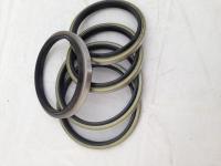 China NBR FKM PU Excavator Oil Seal Hydraulic Metal GA DKB DKBI Dust Wiper Seal for sale