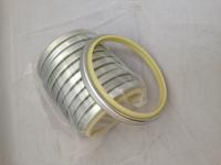 China Skeleton Oil Seal Hydraulic Dkbi Seal Customized Rubber Oil Seal Manufacturer for sale