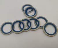 China Bonded Oil Seals with Advanced Dual Sealing Mechanism for Enhanced Leakage Protection for sale