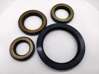 China High Quality China Factory Price NBR FKM Material Custom TC/TCN/TCV Shaft Seal Rubber Oil Seal for sale