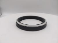 China Piston Rod Hydraulic Seal TSE Seal V Hydraulic Cylinder Piston Rod Oil Seal Pneumatic for sale