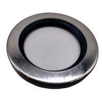 China PTFE  Stainless Steel Oil Seal Air Compressor Double Lip Triple Lip Oil Seal for sale
