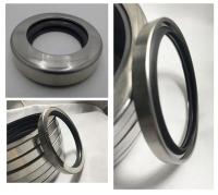 China Air Compressor PTFE Parts Double Lip Triple Lip Oil Seal Stainless Steel Oil Seal for sale