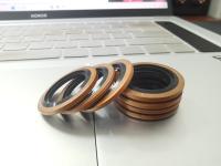 China Gasket NBR Metal Copper Bonded Washer M6/M8/M10/M12/M14/M16 for sale