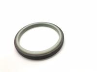 China Cylinder Rod Preventing Leakage Scraper Seals  Dust seal DKBI for sale