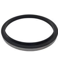 China High demand  hydraulic wiper seal DKB/DKBI/DLI/IDI/OUY/ VAY dust seals in different types for sale