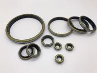 China Black NBR and metal oil resistance dust wiper seal dustproof  oil seal DKB DKBI GA for sale