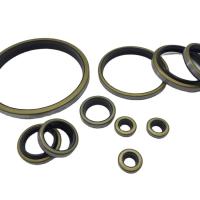 China DKBI/DKB/dki/DLI/GA oil seal pu seal NBR seal for sale