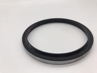 China DKBI/DKB/dki/DLI/GA oil seal pu seal NBR seal for sale