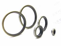 China DKBI/DKB/dki/DLI/GA oil seal pu seal NBR seal for sale