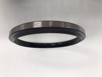 China Hydraulic Piston Rod Seal Polyurethane Pu Rubber Wiper Oil Seal Ga Dki Dkb Dkbi Dust Seal Ring for sale