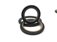 China NBR PTFE Parts Piston Hydraulic Std Ring Customization Spare Parts for sale