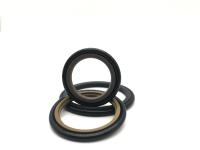 China NBR PTFE Parts Piston Hydraulic Std Ring Customization Spare Parts for sale