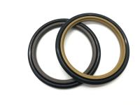 China NBR PTFE Parts Piston Hydraulic Std Ring Customization Spare Parts for sale