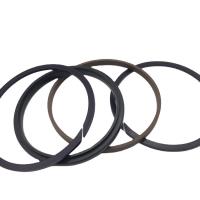 China Hot Sale Piston Seal SPGW With High Quality from China Factory for sale