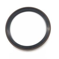 China Hydraulic NBR PTFE Bronze  Seal Rod Seal SPG for cylinder piston for sale