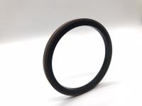 China High Quality Hydraulic Piston Seals SPG with many sizes in stock for sale