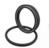 China Mechanical Hydraulic DLSEALS OEM Hydraulic Cylinder Seal PTFE Carbon Filled PTFE Rod Piston Oil Spring Energized Seal for sale