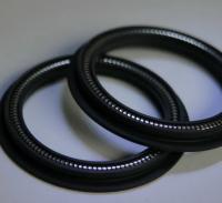 China Mechanical Hydraulic DLSEALS OEM Hydraulic Cylinder Seal PTFE Carbon Filled PTFE Rod Piston Oil Spring Energized Seal for sale