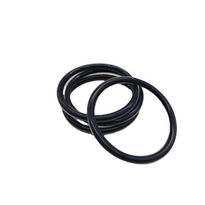 China High Temperature Resistance Corrosion FEP/PFA Encapsulated O-RING Sealing for Chemical Applications for sale