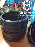 China Factory Price Oil Seals NBR FKM Black Color TC TG oil seal Standard Size for sale