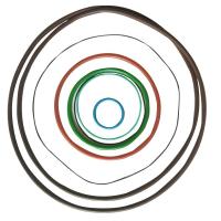 China High Quality China NBR PTFE FFKM Rubber FKM Rubber Oil Seal rubber O-rings for sale