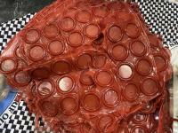 China NBR  Wholesale cheap price NBR Oil Seal  O Seal Ring NBR O-rings for sale