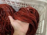 China Free Sample High Quality Heat resistance FKM EPDM Silicone O-Ring NBR FFKM FKM ORing for sale