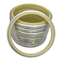 China CE certified  DKB DKBI  Dust Seal Wiper Ring for sale
