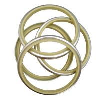 China Piston Rod Use DKBI  Dust Seal Wiper Ring for sale