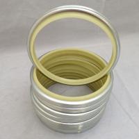 China Piston Rod Use DKBI  Dust Seal Wiper Ring for sale