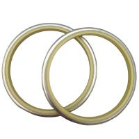China Piston Rod Use DKBI  Dust Seal Wiper Ring for sale