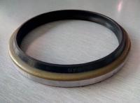 China Dkb Dkbi Dkb Wiper Seal Hydraulic Pneumatic Dust Wiper Seal for sale