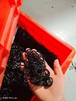 China NBR O-Rings Custom Various Rubber Oil Seal nbr O Seal Ring NBR O-rings for sale