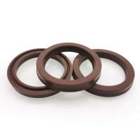 China High-End  FKM NBR  SC TC Skeleton Oil Seal for Hydraulic Sealing Black  Brown  Red  double lip  slingle lip Rubber EPDM HNBR Neo for sale