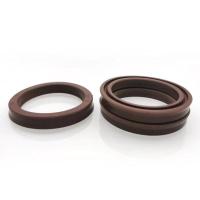 China High-End  FKM NBR  SC TC Skeleton Oil Seal for Hydraulic Sealing Black  Brown  Red  double lip  slingle lip Rubber EPDM HNBR Neo for sale