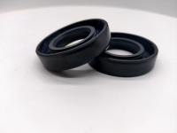 China Double Lip Rotary Shaft Metric TC Oil Seal/ Oil seal in china for sale