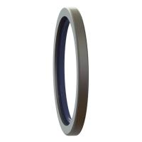 China Metal VAY Bucket Pin Seal Dust Seal Hydraulic Sealing for sale for sale