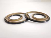 China Factory wholesale STD PTFE  Glyd Ring ster seal shaft seal ring hydraulic cylinder for sale